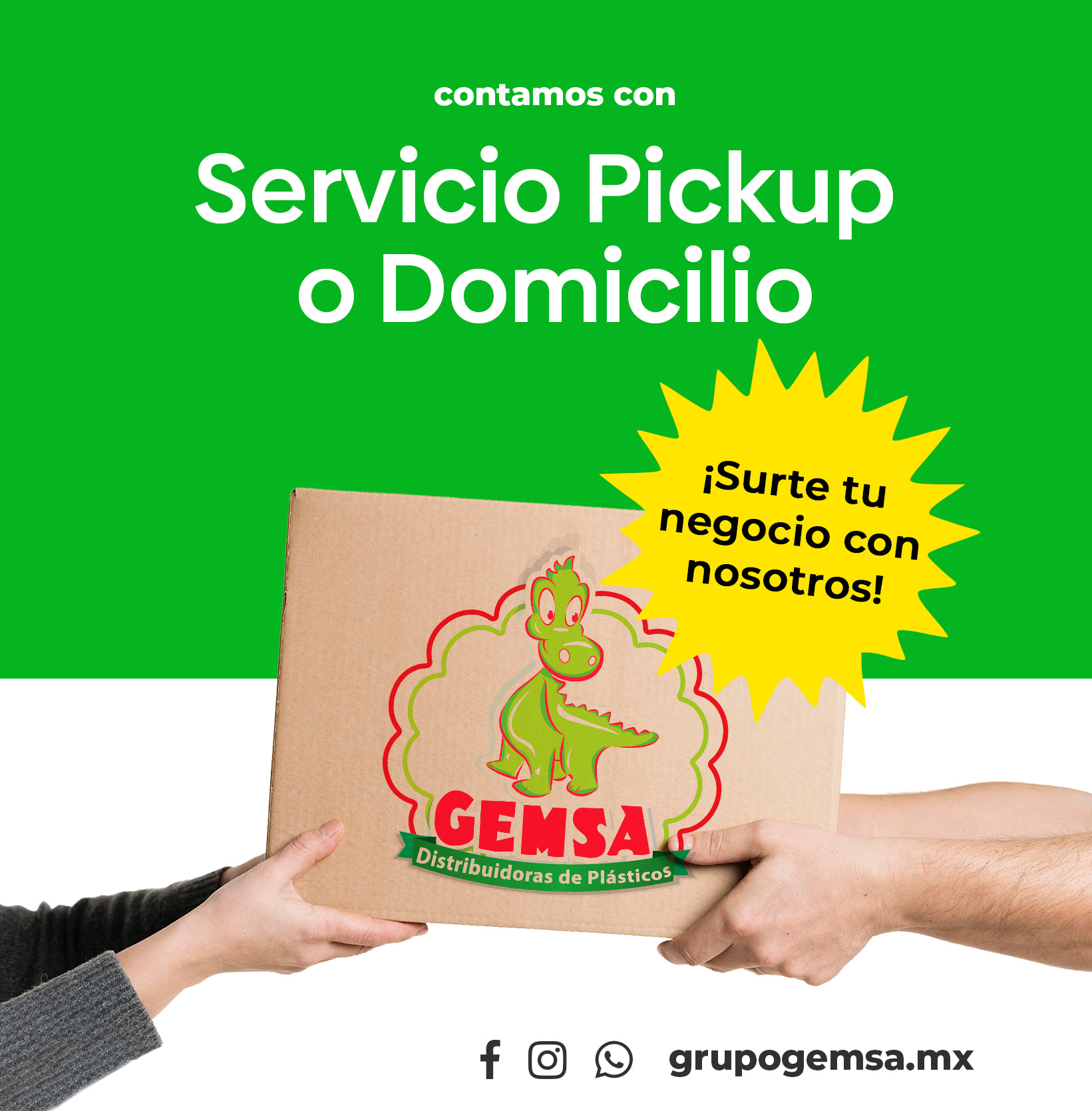 Inicio - Grupo Gemsa